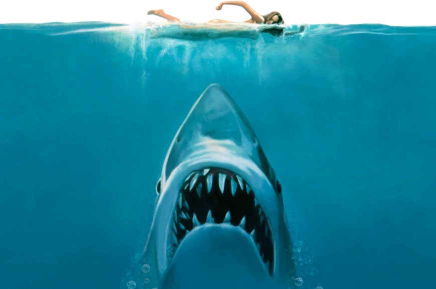 Sharks: Who Is The Real Monster? | Cape May Whale Watch & Research Center