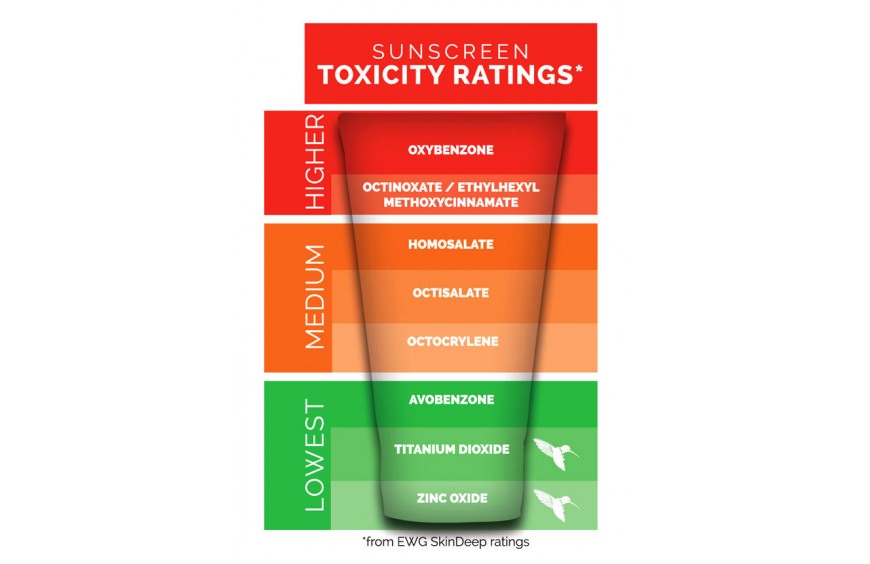 The Sunscreen Paradox | Cape May Whale Watch & Research Center